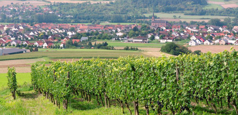 Werbach - Gemeinde Werbach