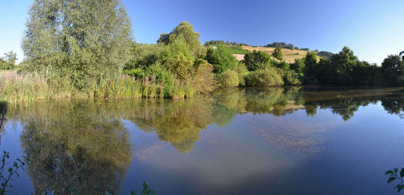 Werbach - Gemeinde Werbach