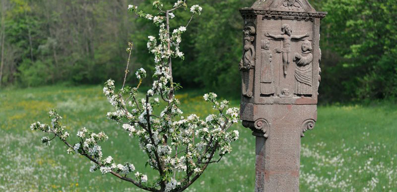 Werbach - Gemeinde Werbach